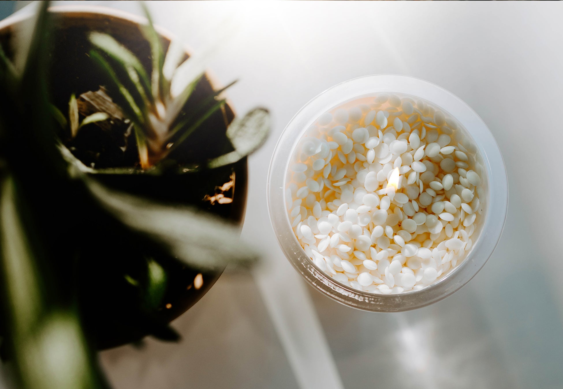 Sixth and Zero - Handmade Soaps and Sustainable Products